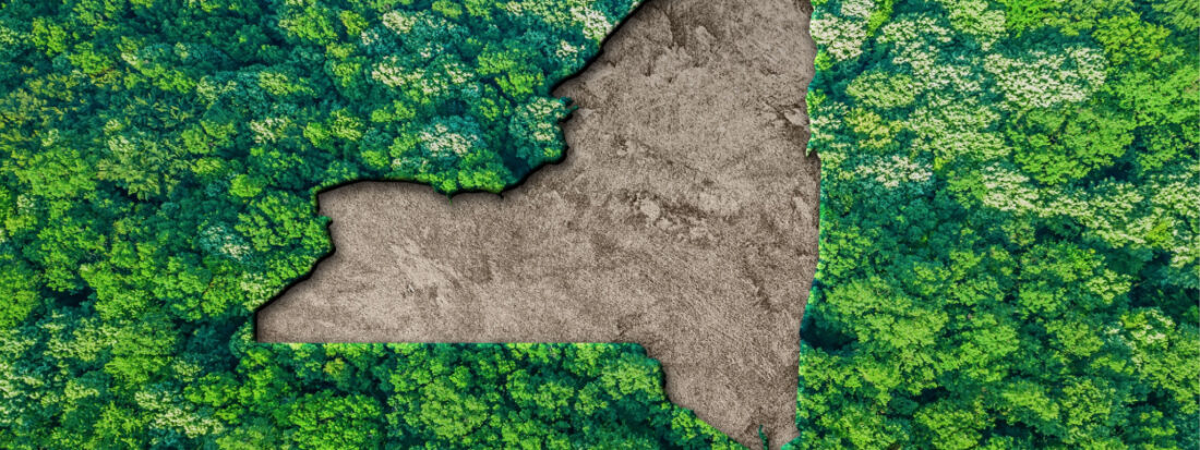 New York Adopts New Environmental Justice Law That Requires ...