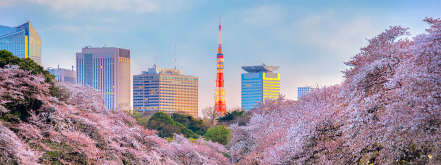 BESS and the Japan Power Market The Current State of Play at LTDA ...